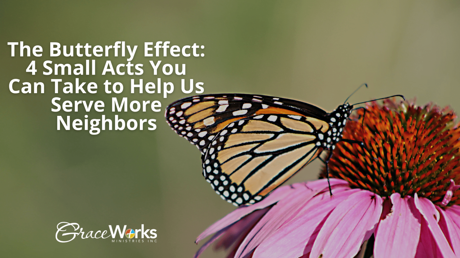 The Butterfly Effect: 4 Small Acts You Can Take To Help Us Serve More Neighbors | GraceWorks ...